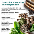 Natural cortisol support capsules