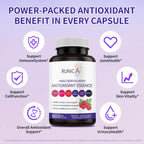 natural cranberry antioxidant benefits