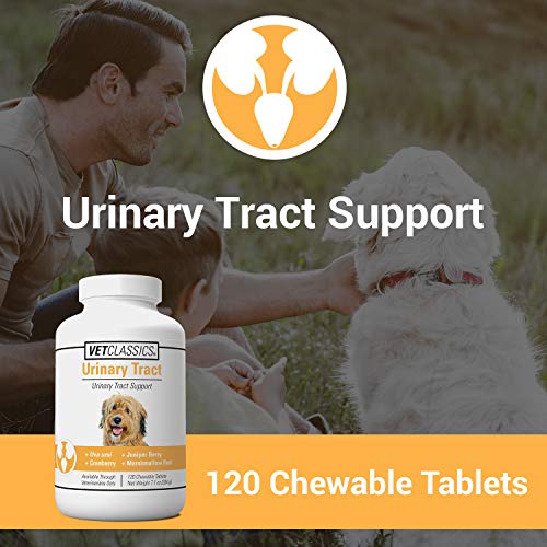 natural cranberry chewable tablets