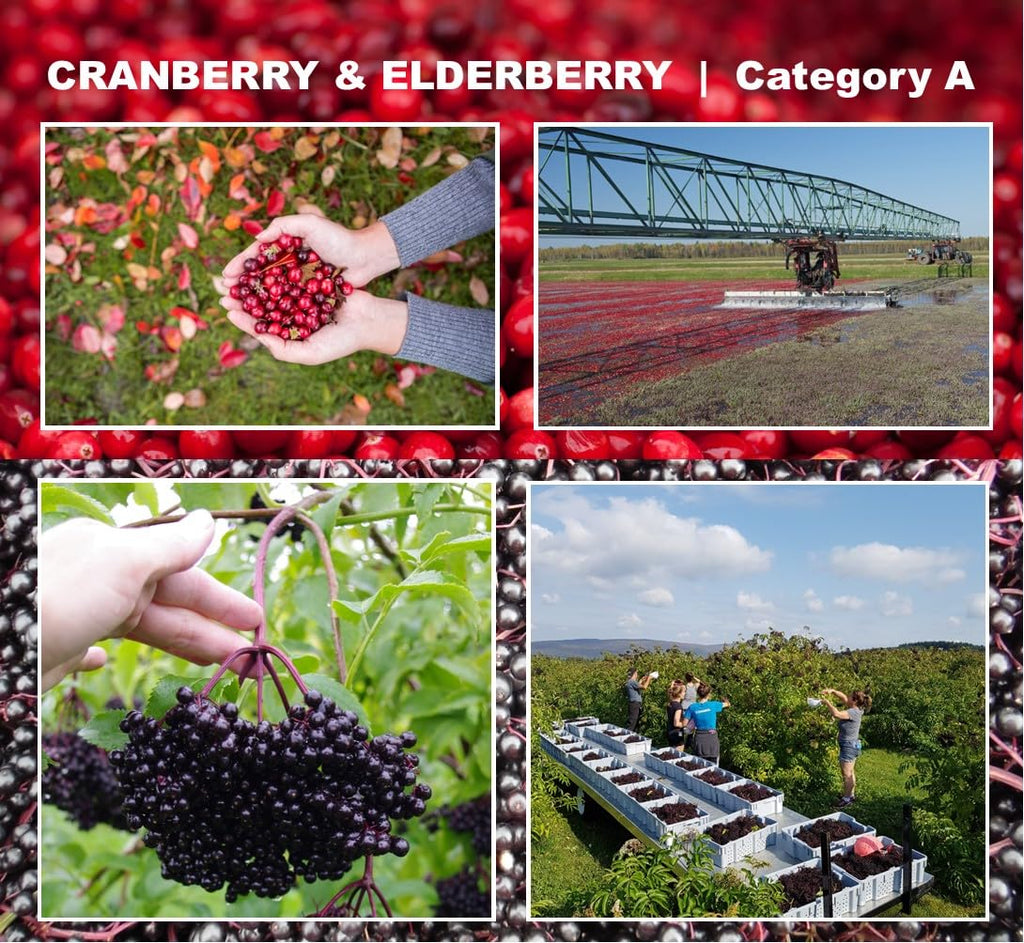 Natural cranberry elderberry blend for health