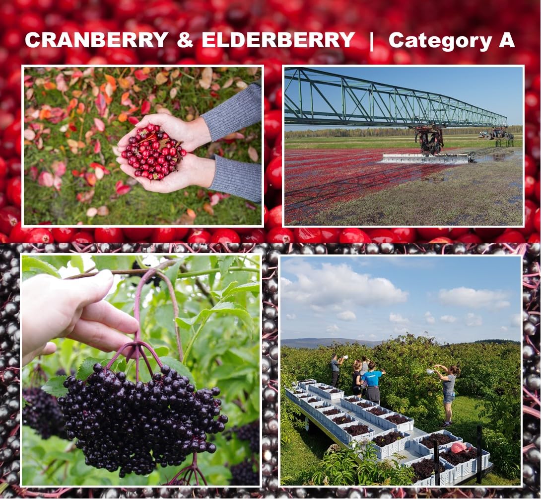 Natural cranberry elderberry blend for health