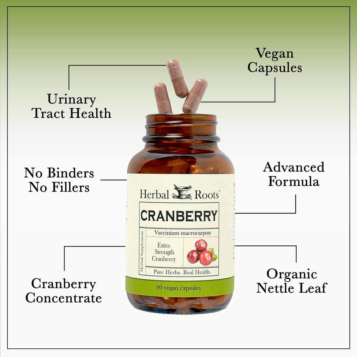 Natural cranberry extract for urinary health
