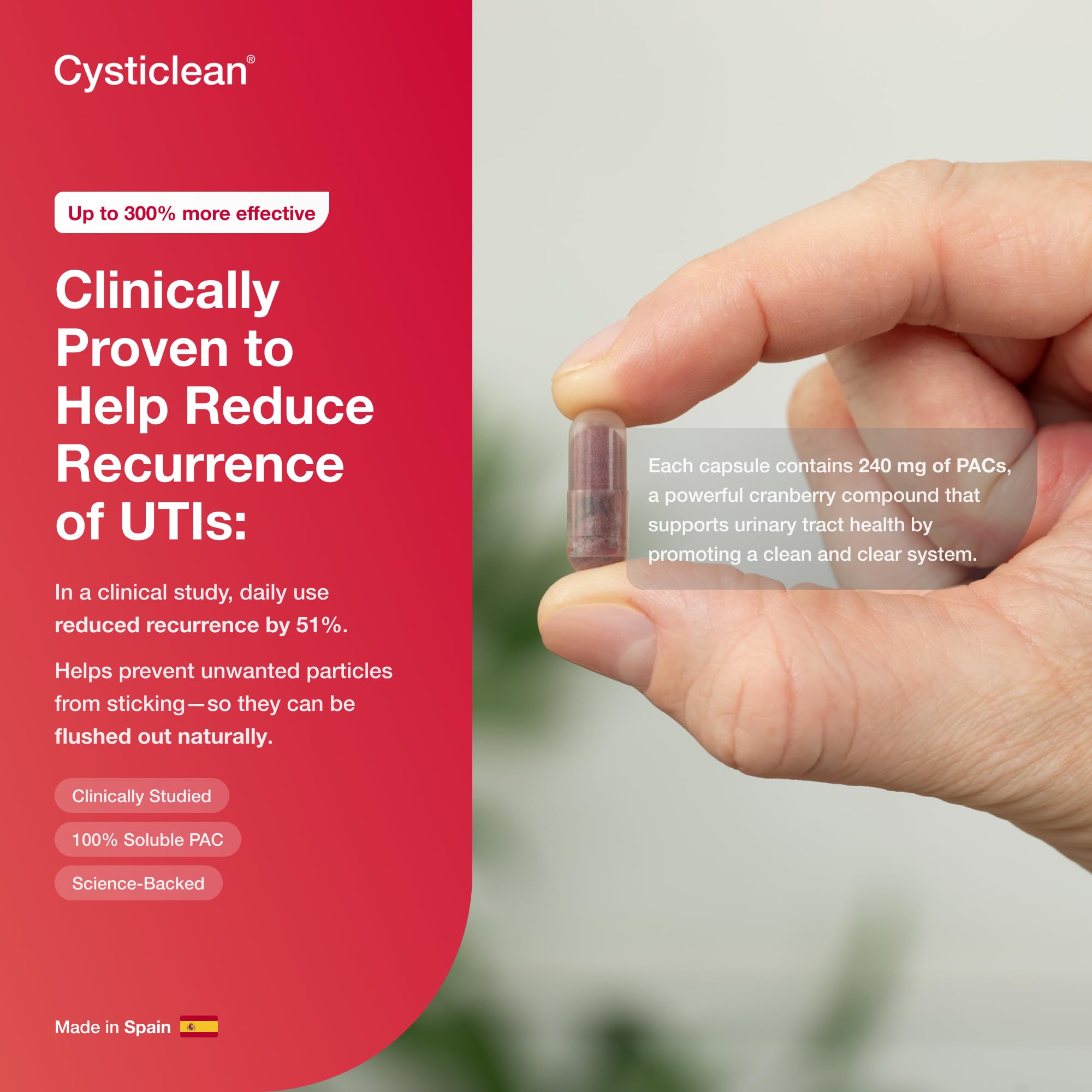 Natural cranberry extract for urinary wellness