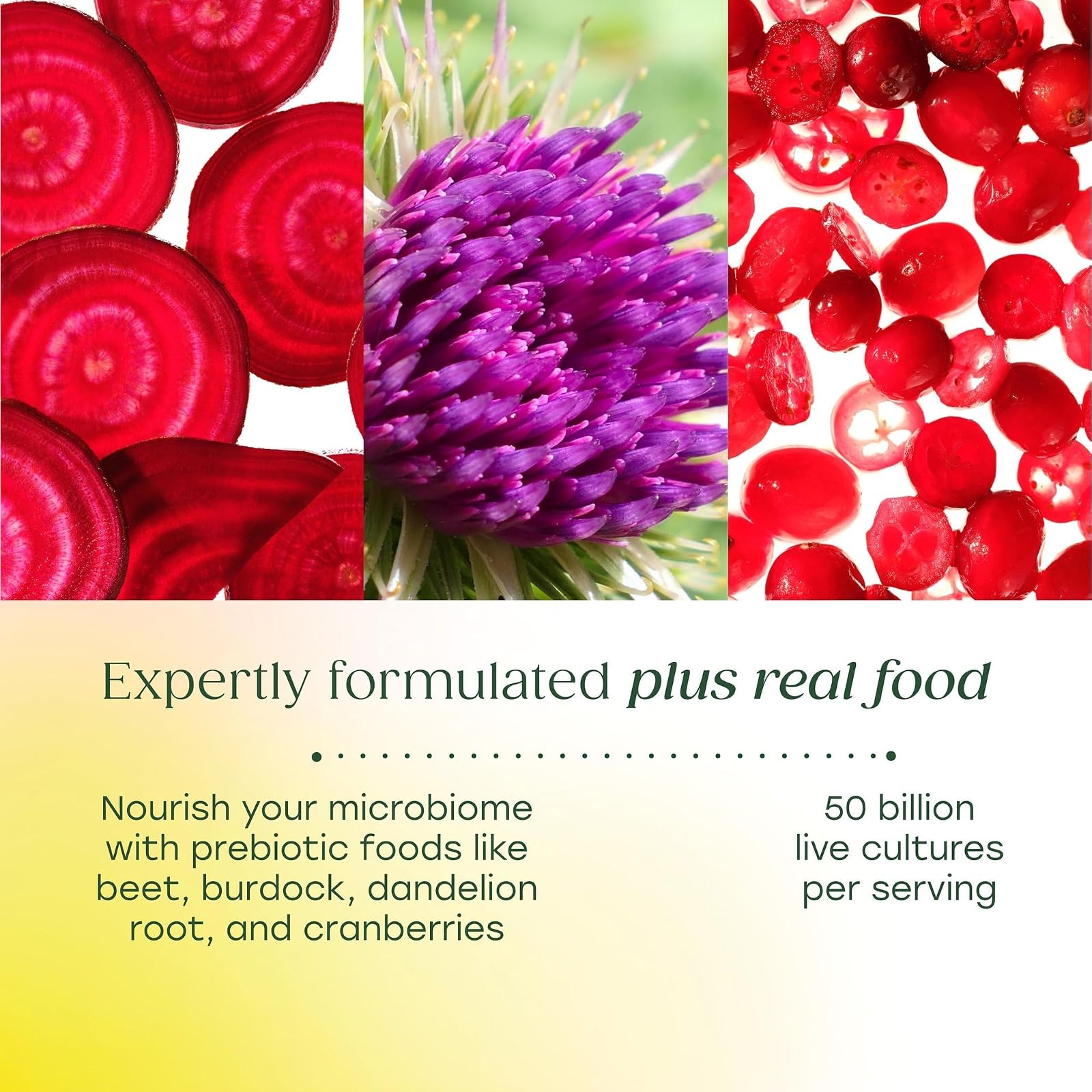 natural cranberry probiotic supplement