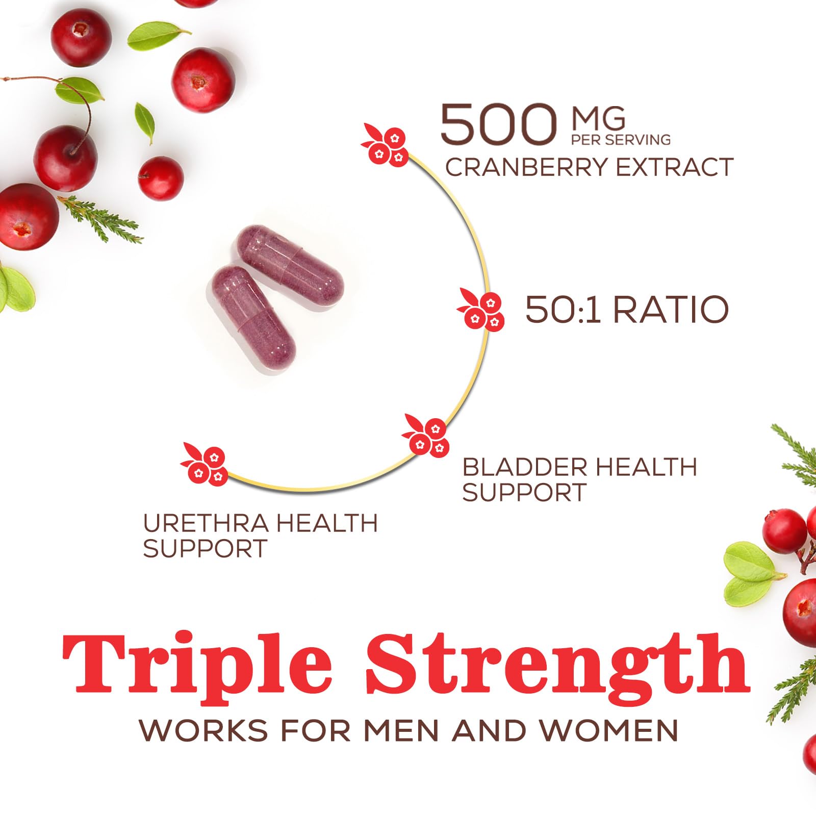 Natural cranberry supplement for bladder support