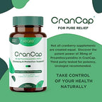 Natural cranberry supplement for urinary health