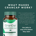 Natural cranberry supplement for urinary health