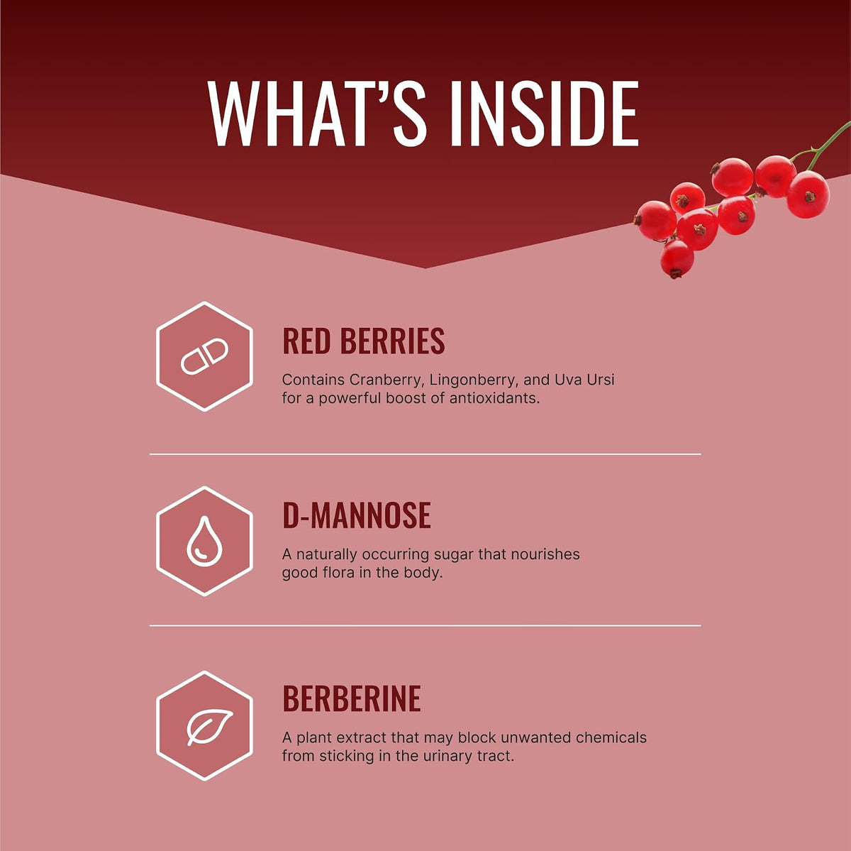 natural cranberry supplement for UTI