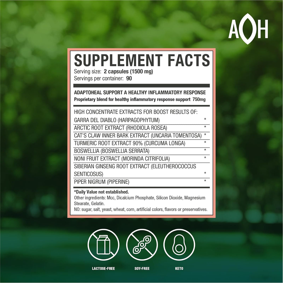 natural curcumin supplement for pain relief