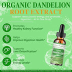 natural dandelion extract for digestion
