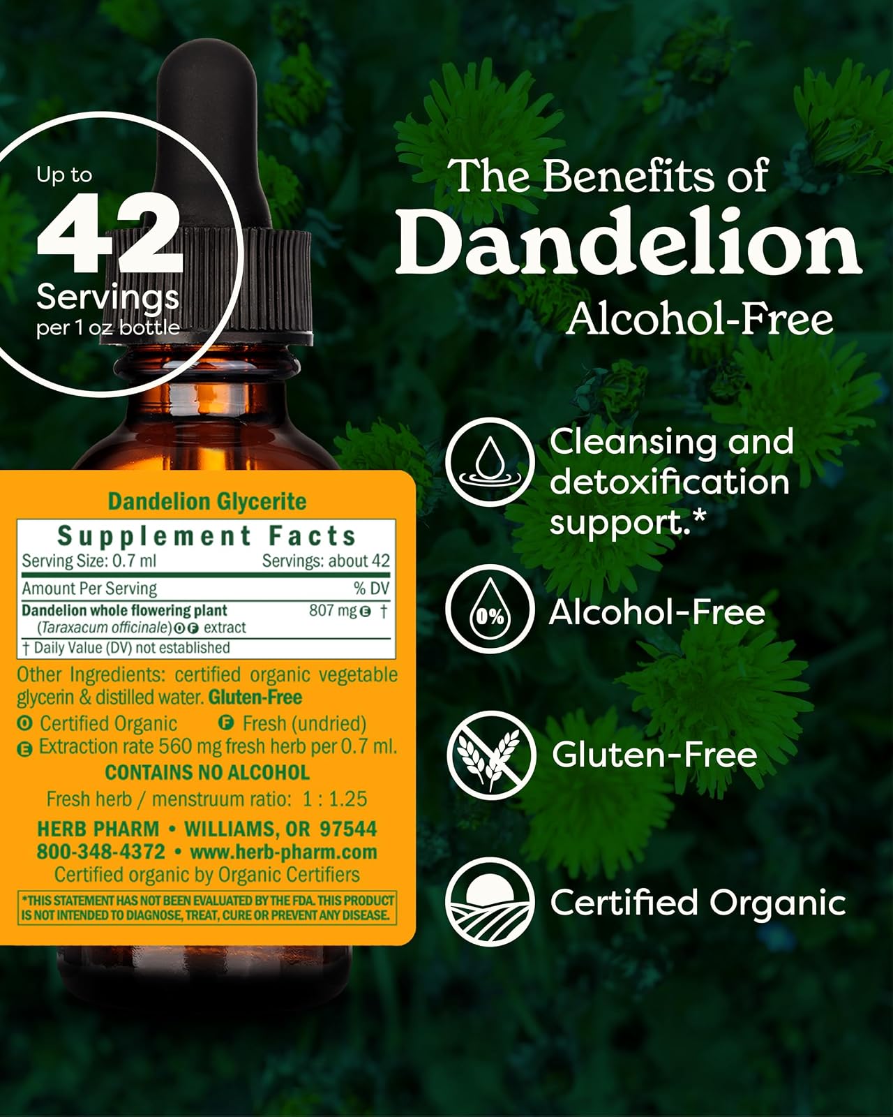 natural dandelion herbal supplement