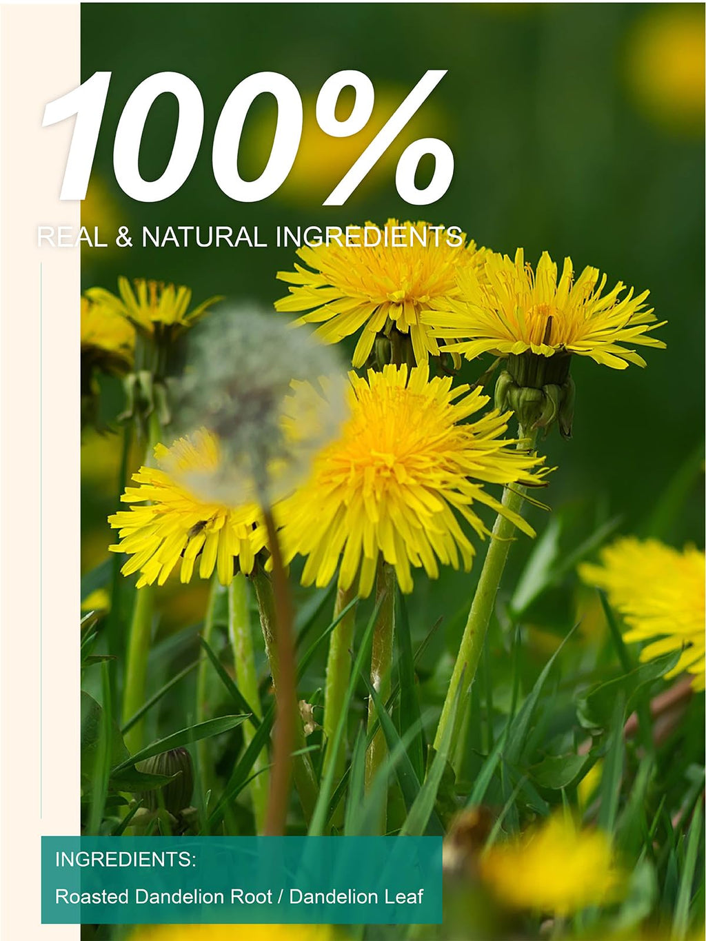 natural dandelion leaf herbal infusion