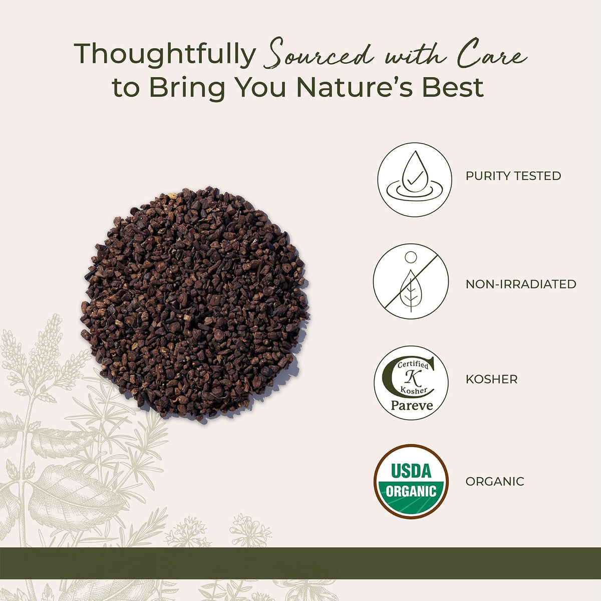 natural dandelion root for digestion