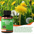 natural dandelion root for liver health