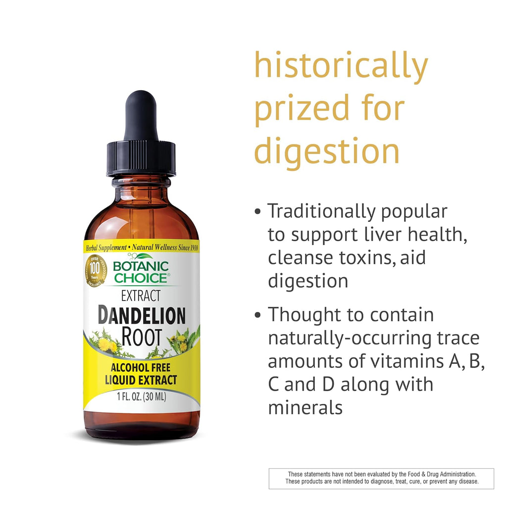 natural dandelion root herbal remedy