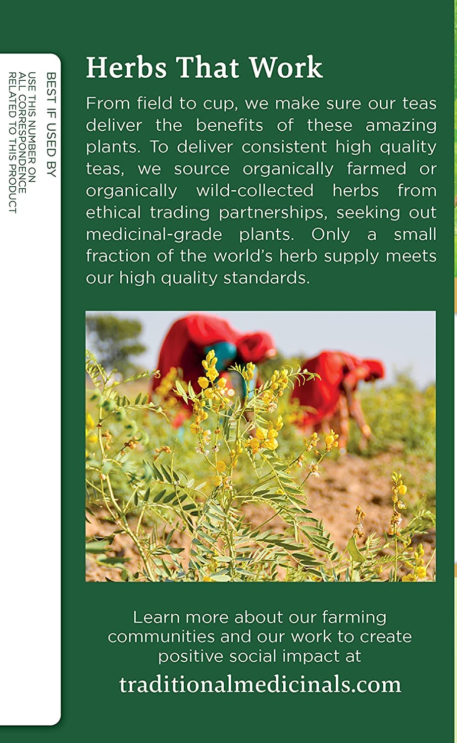 natural dandelion root herbal tea