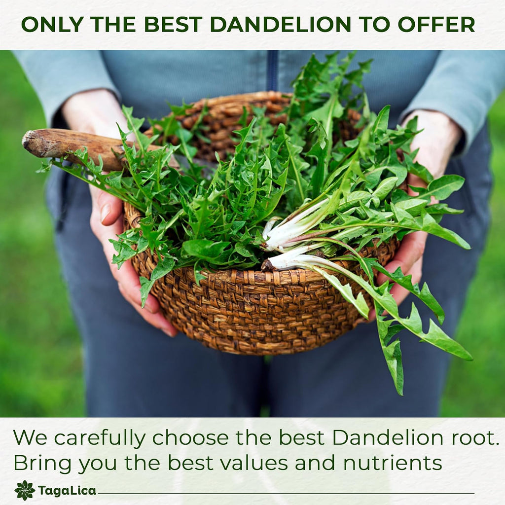 natural dandelion root infusion