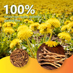 natural dandelion root infusion