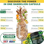 natural dandelion root supplement capsules