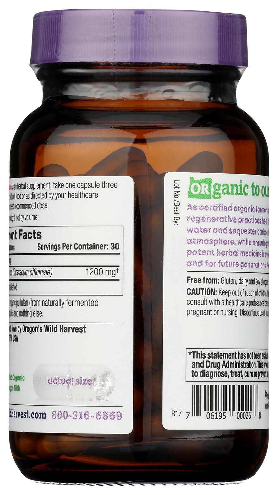 natural dandelion supplement for digestion