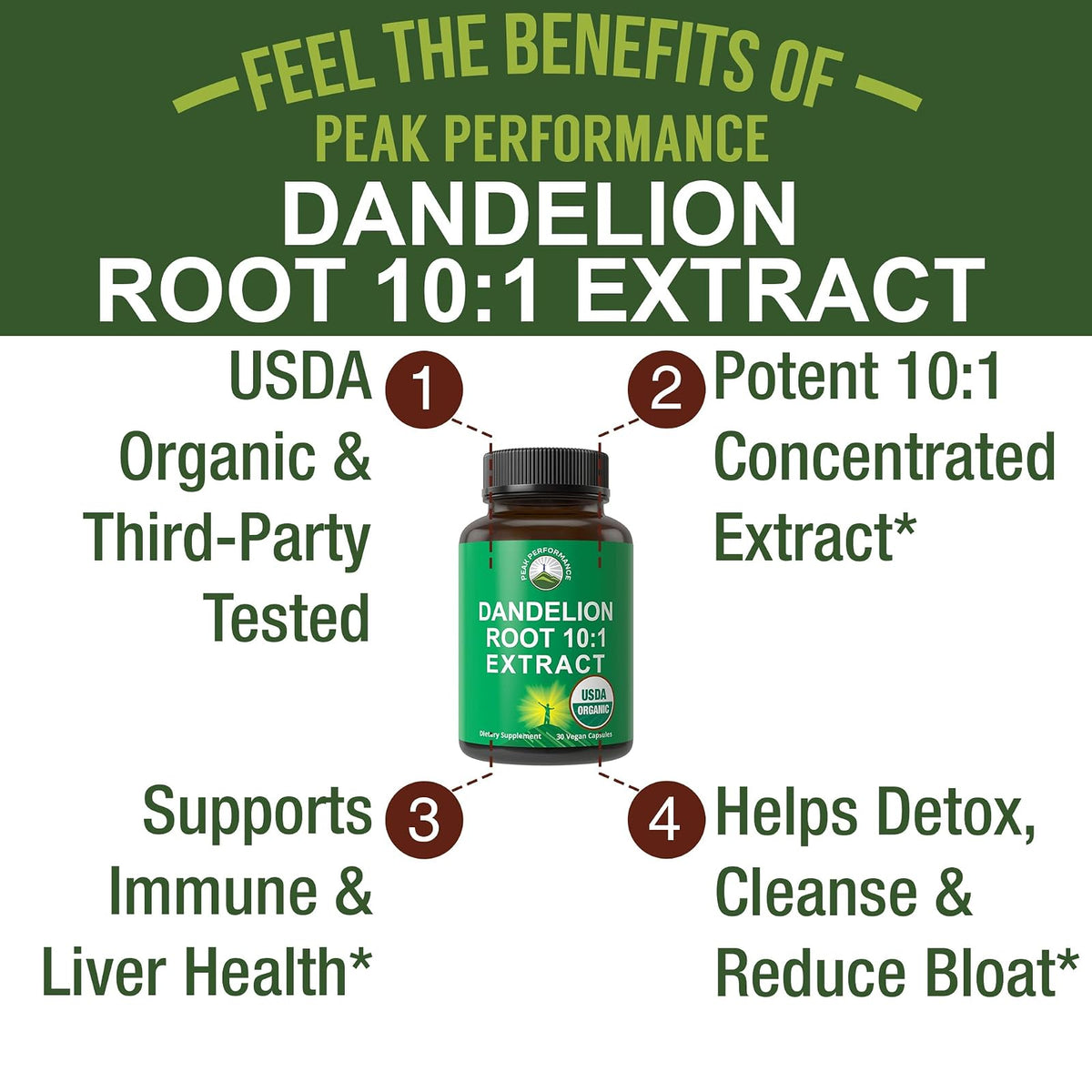natural dandelion supplement for digestion