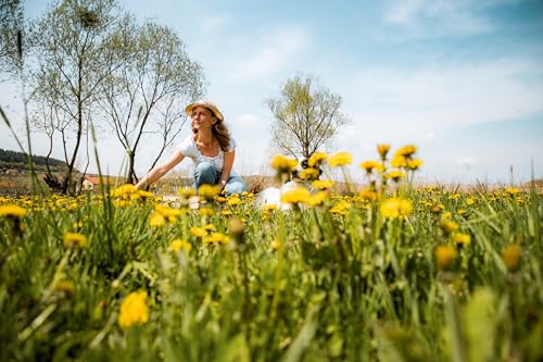 natural dandelion tea for digestion