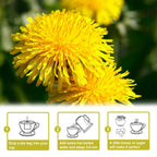 natural dandelion tea for wellness