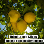 natural dehydrated citrus slices