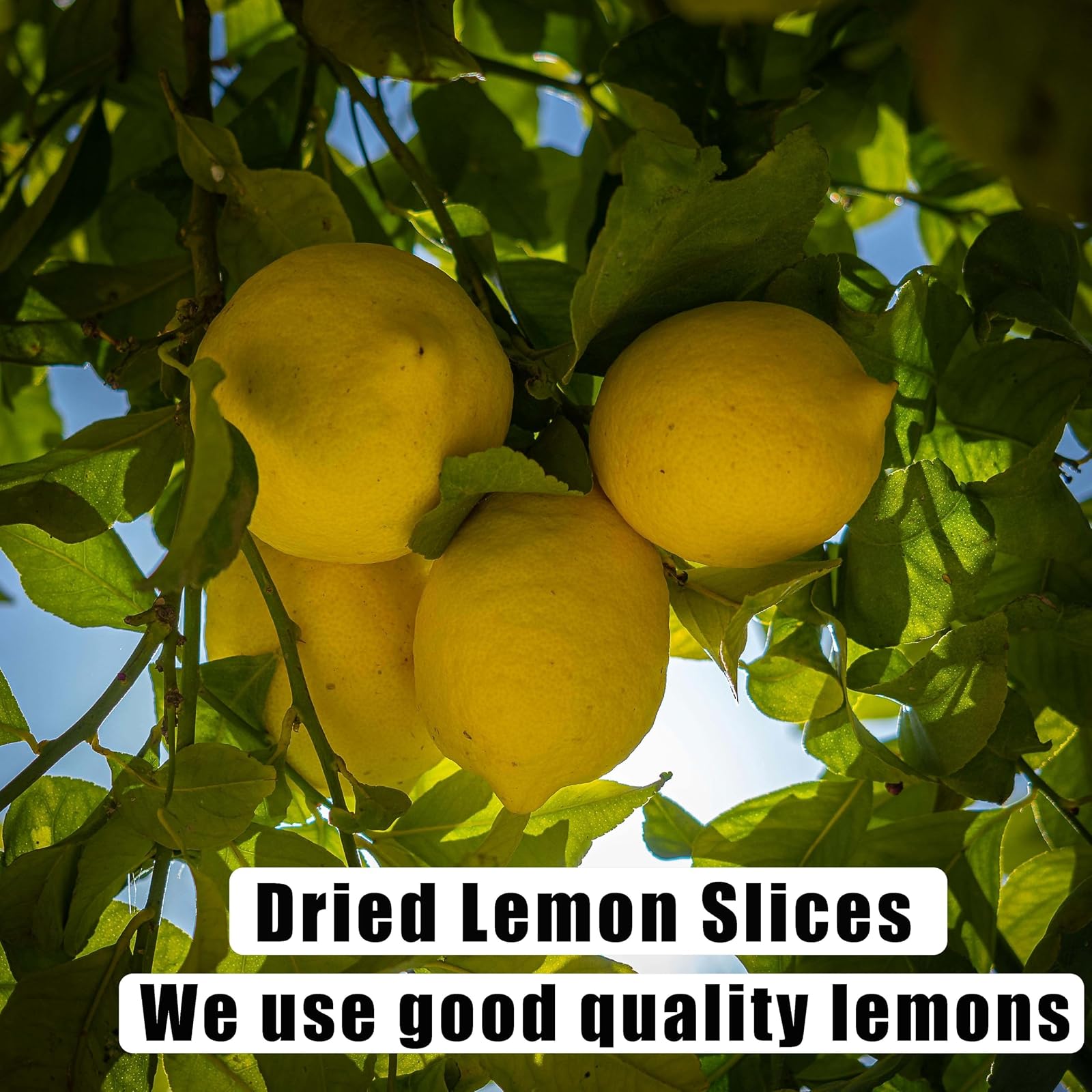 natural dehydrated citrus slices