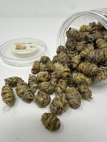 natural Dendrobium officinale extract