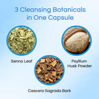 natural detox for better digestion