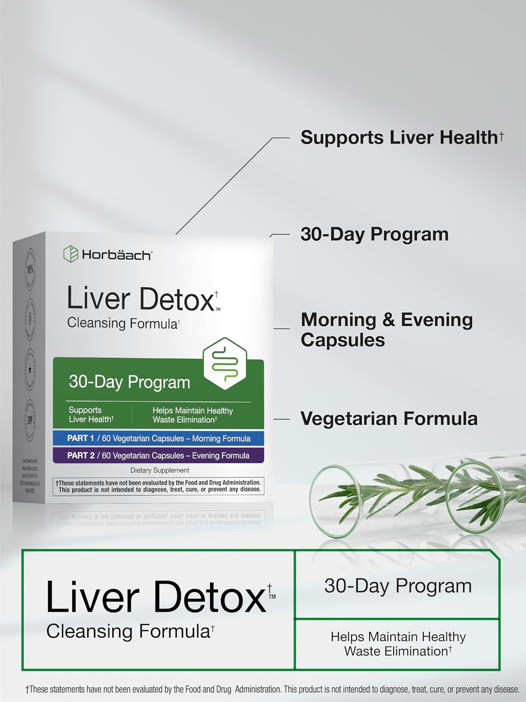 natural detox for liver health