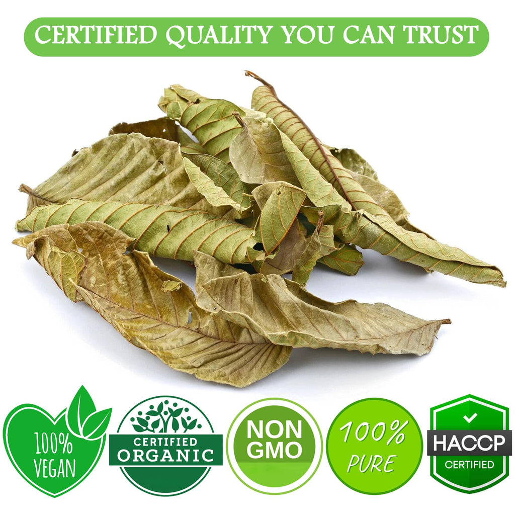 natural detox guava leaf infusion