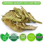 natural detox guava leaf infusion