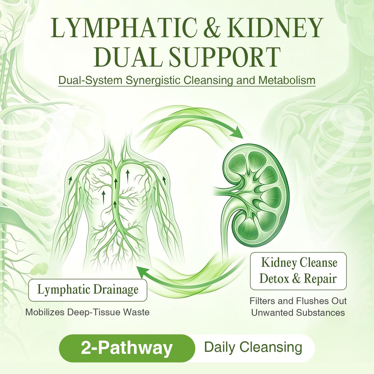 Natural detox herbal blend capsules