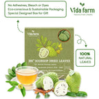 natural detox herbal infusion