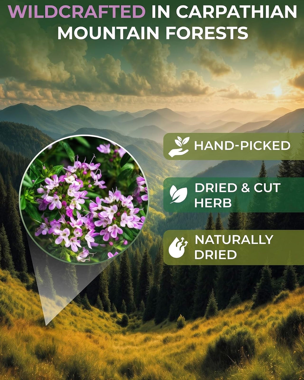 natural detox herbal tea blend