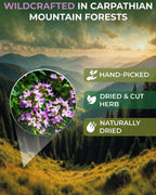 natural detox herbal tea blend