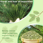 natural detox herbal tea option