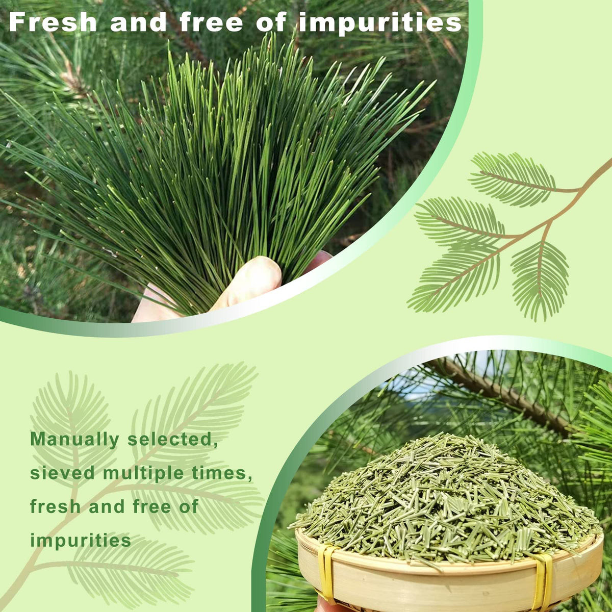 natural detox herbal tea option
