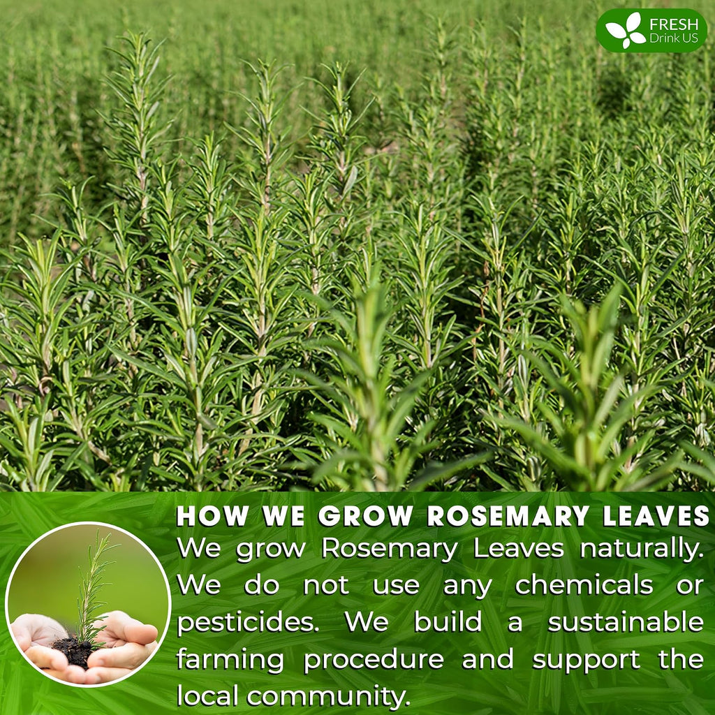 natural detox rosemary leaf tea
