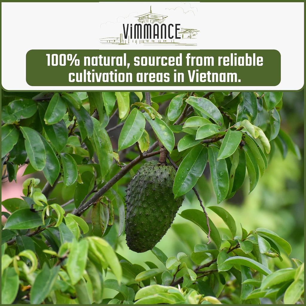 natural detox soursop tea