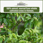natural detox soursop tea