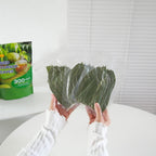 natural detox soursop tea