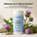 Natural detox support supplement