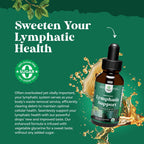natural detox support with echinacea