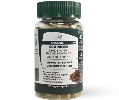 natural detox support with sea moss