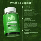 natural detox tea for candida