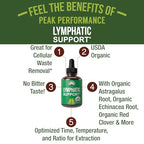 natural detox tea for wellness