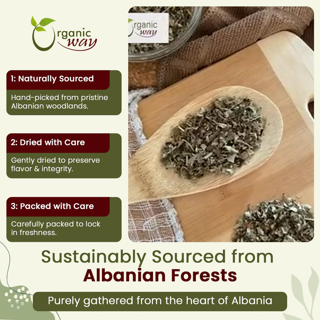 natural detox with blackberry leaf